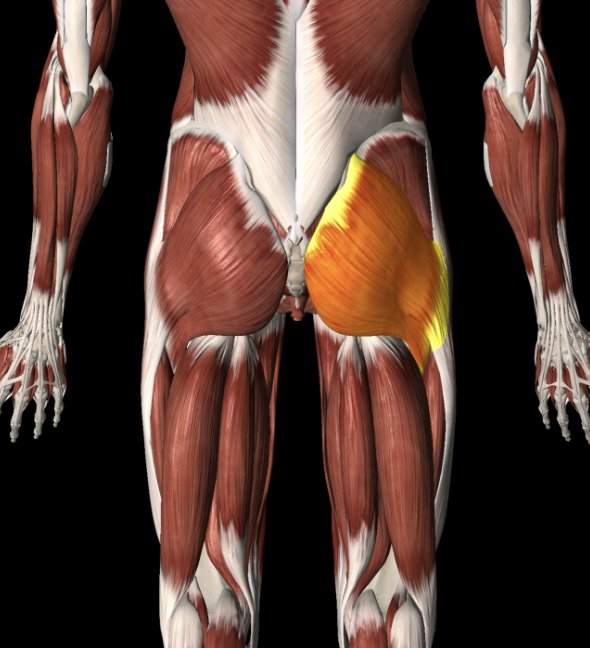 Iliotibial Band Syndrome Physical Therapy | Brooklyn - The Game Plan ...