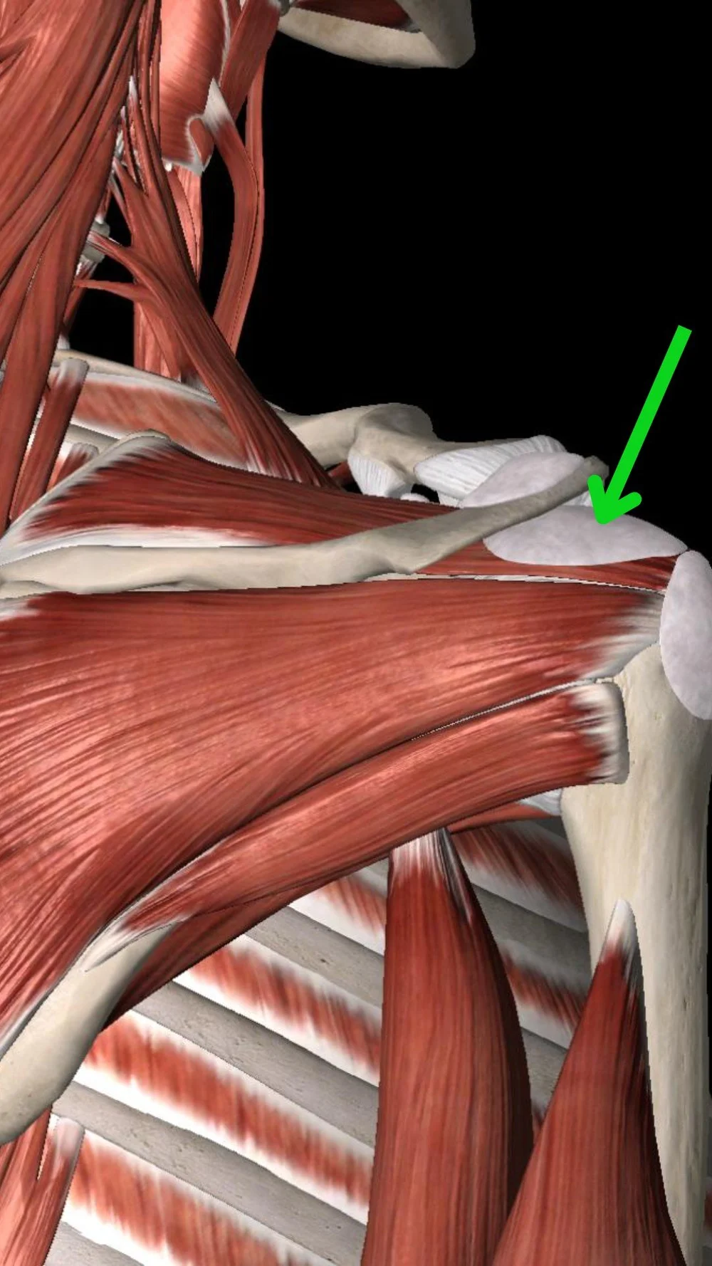 Shoulder Impingement Exercises - The Game Plan Physical Therapy