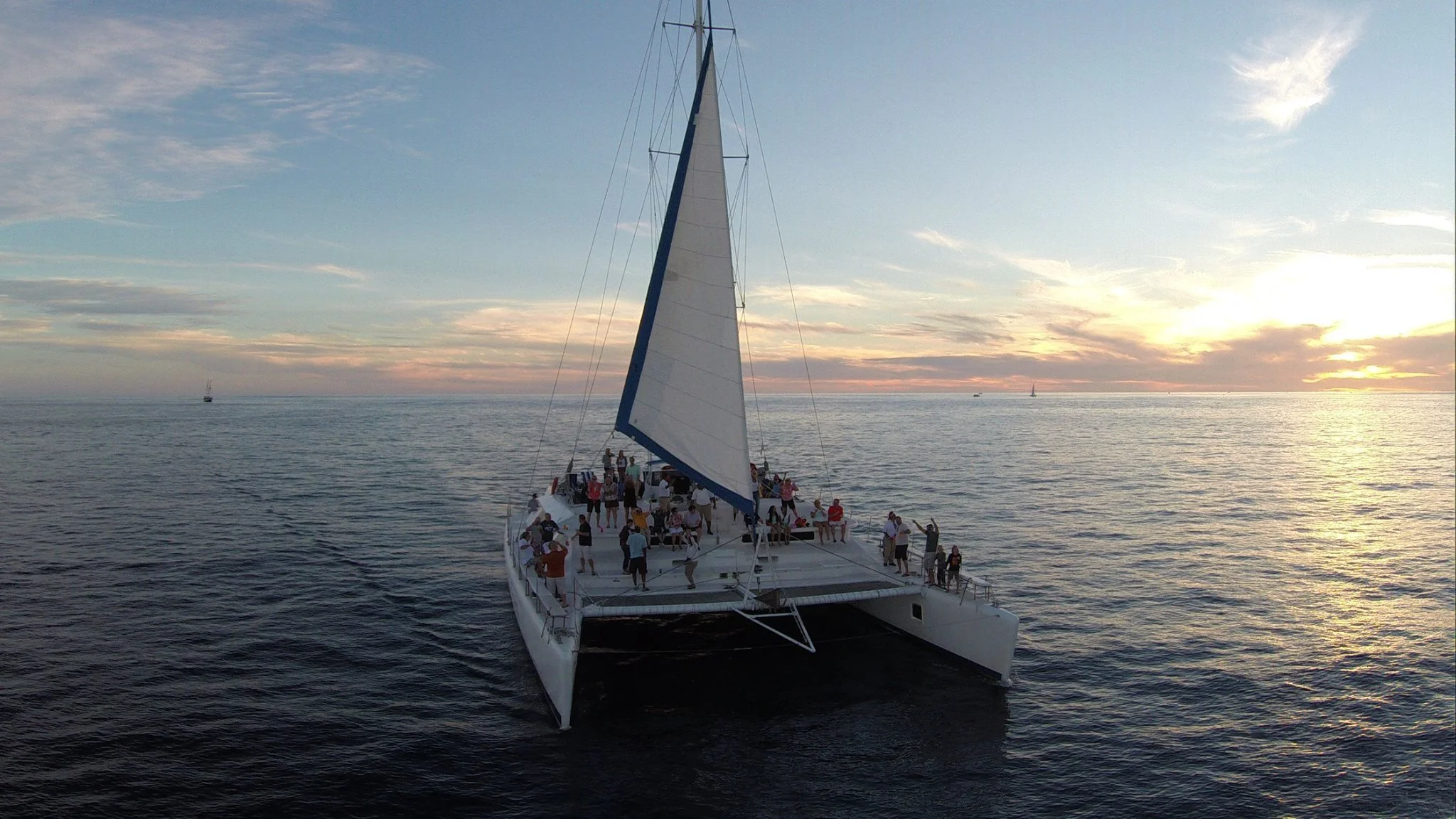 Sunset Cruise | Eco Cat
