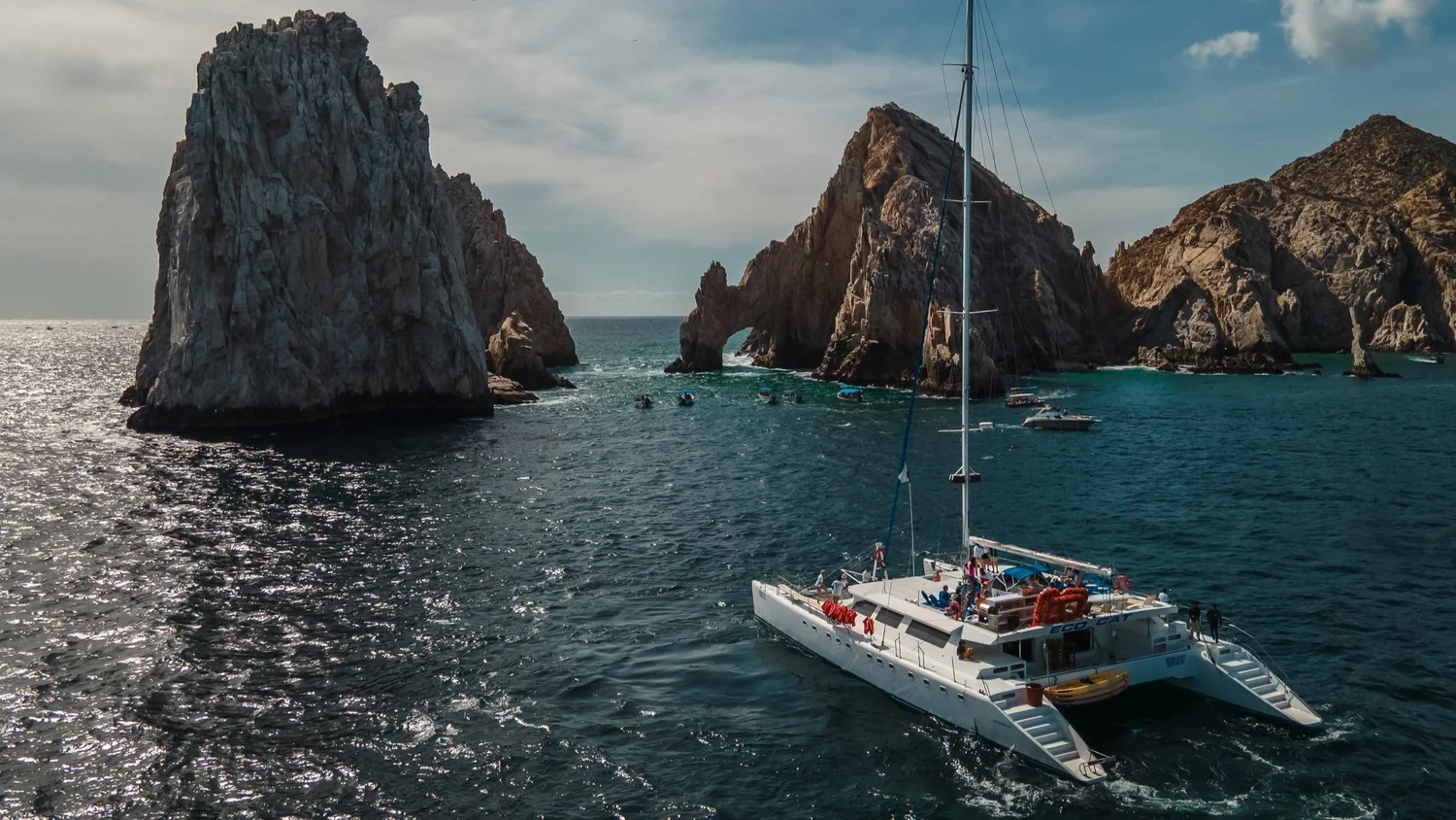 Eco Cat | Explore Cabo