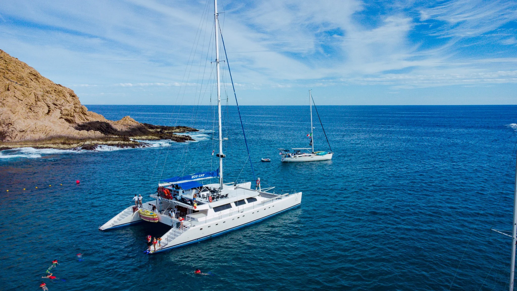 Snorkel Cruise | Eco Cat