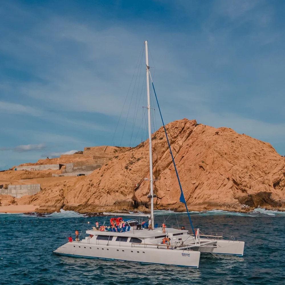 Eco Cat Cabo | Catamaran Tours & Cruises in Cabo San Lucas