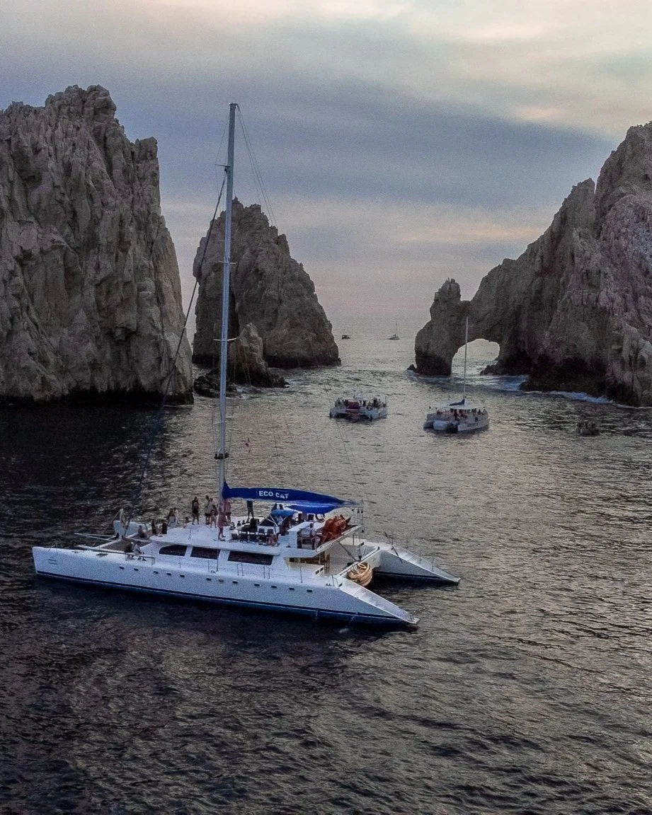 EcoCat | Explore Cabo
