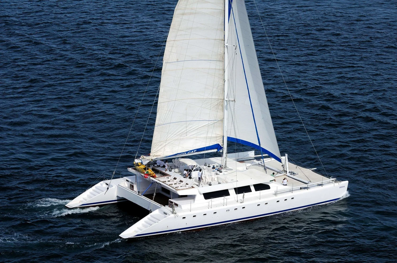 Eco Cat | Explore Cabo