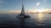 Eco Cat | Explore Cabo