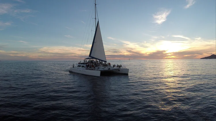 Eco Cat | Explore Cabo