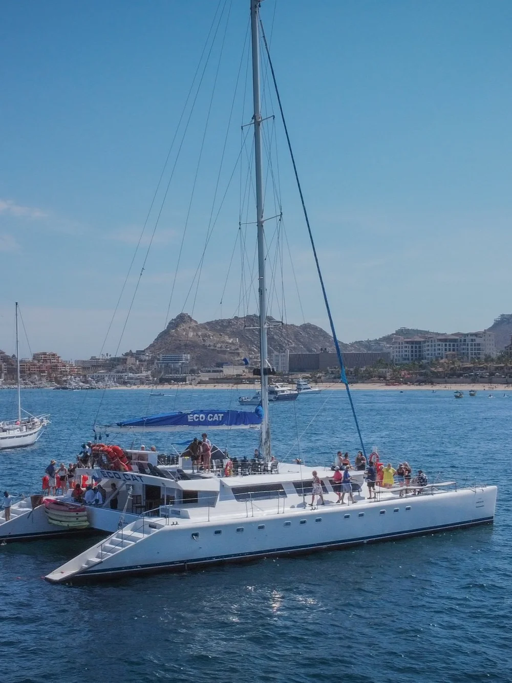 Eco Cat | Explore Cabo