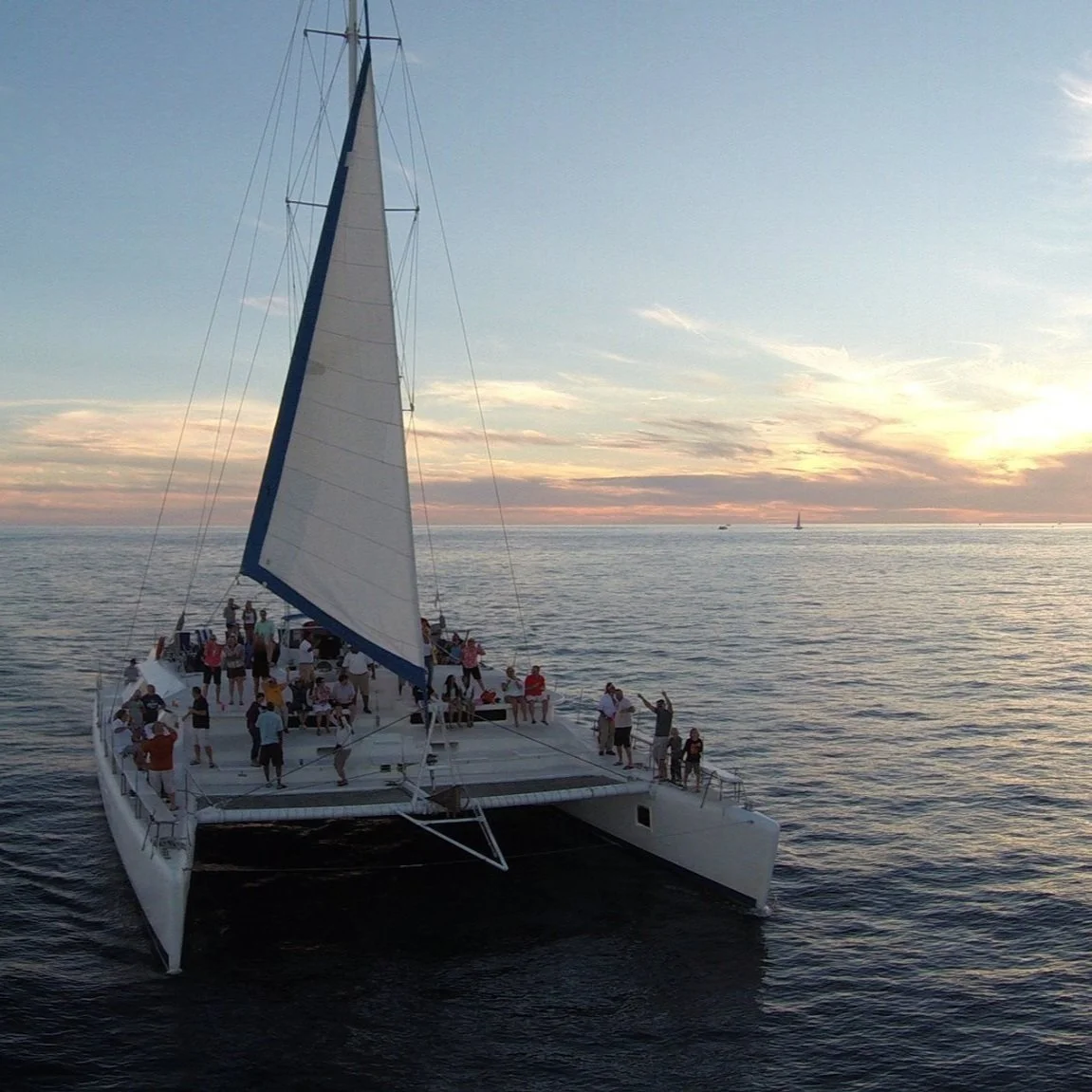 Eco Cat | Explore Cabo