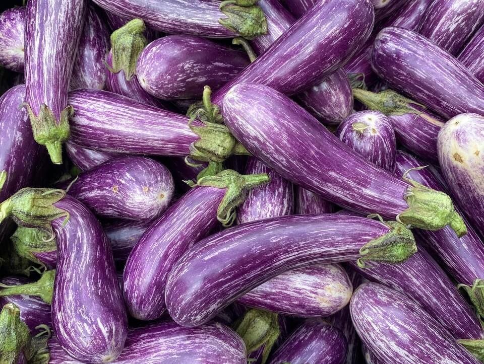 Ben Wells Produce | Fresh Healthy Produce | Food Safety Certified