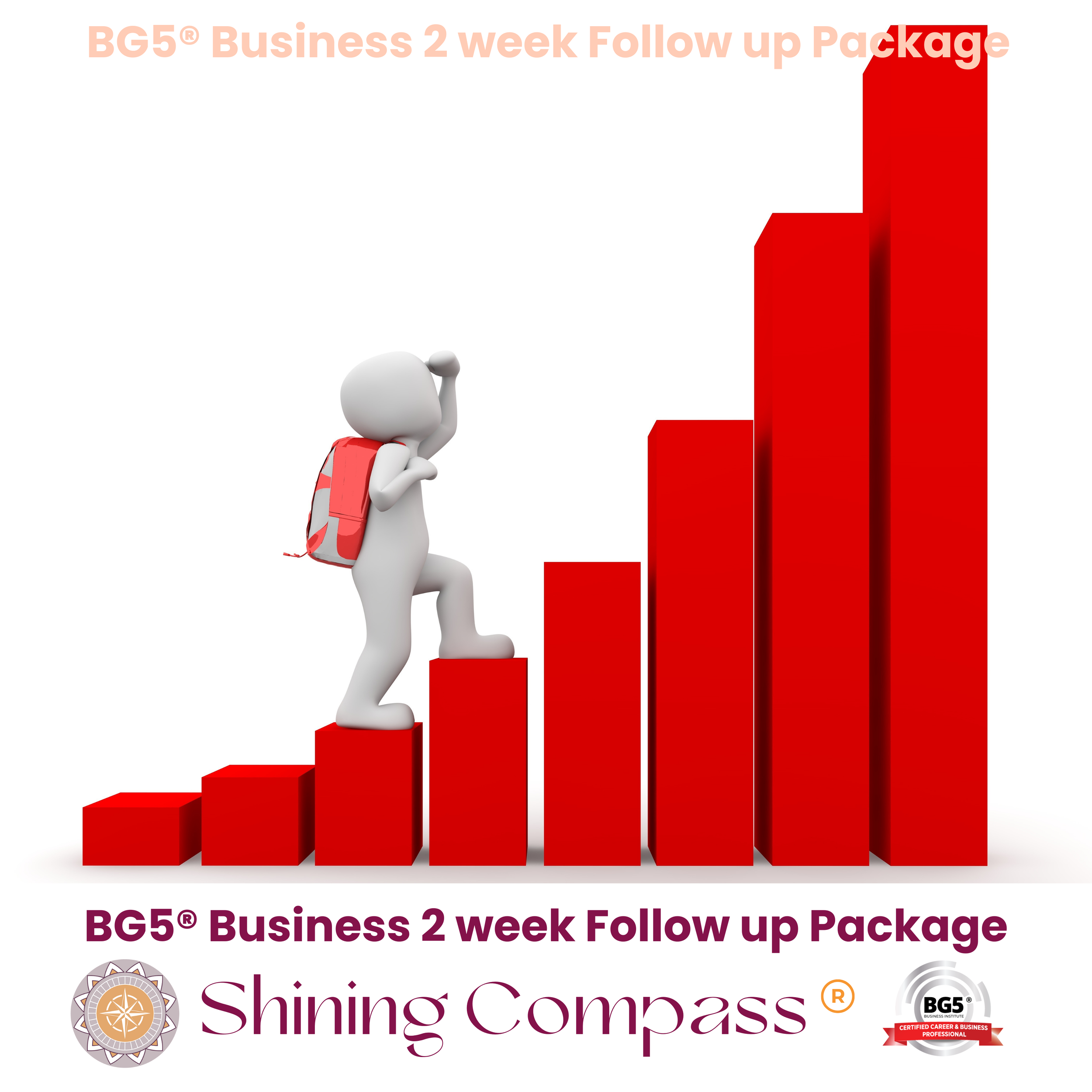 Shop Our Services | Shining Compass