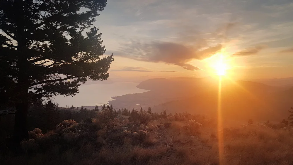 SKEETCHESTN DODECA-HOMES