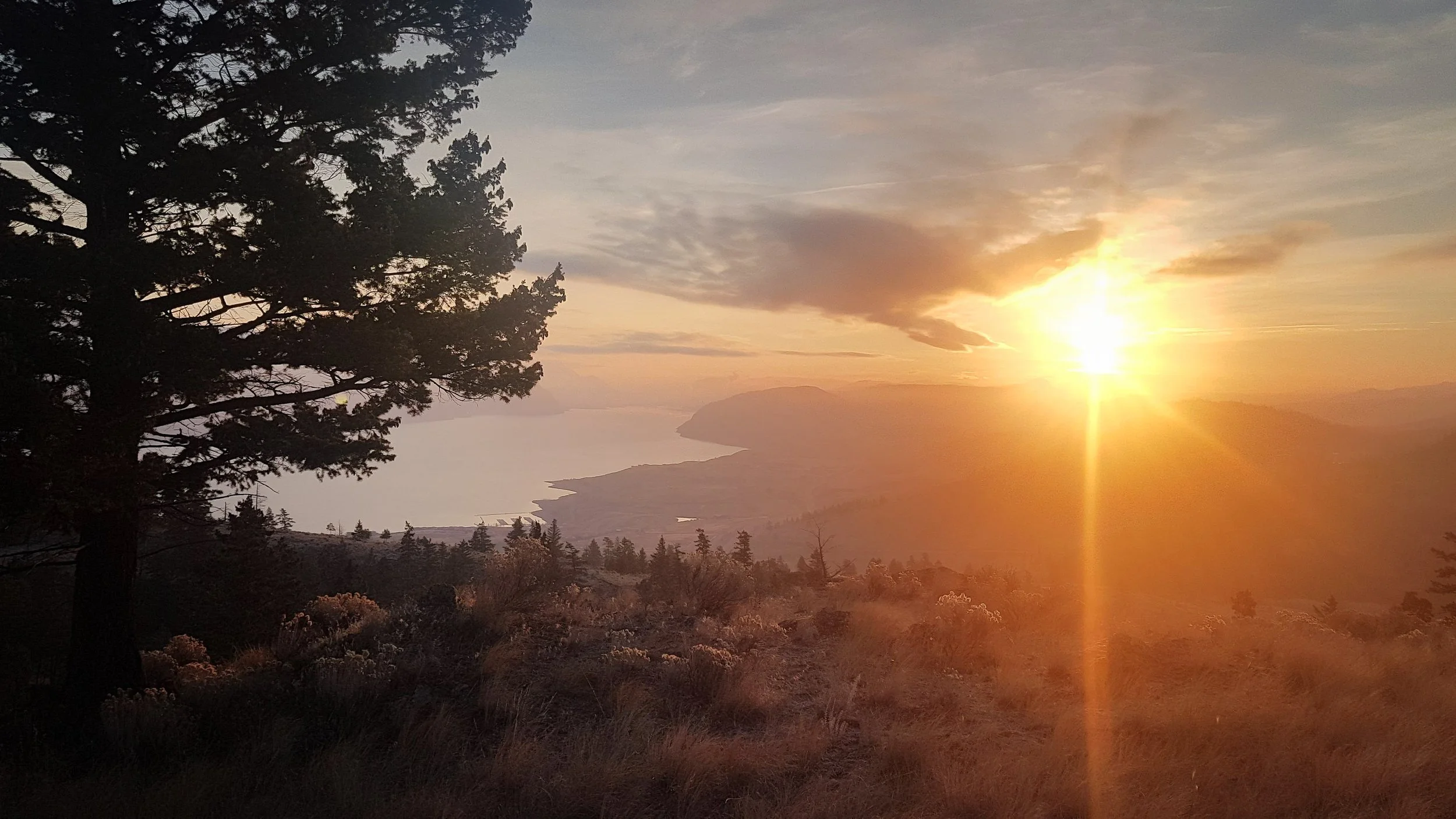 SKEETCHESTN DODECA-HOMES