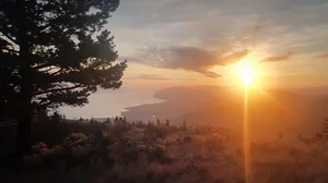 SKEETCHESTN DODECA-HOMES