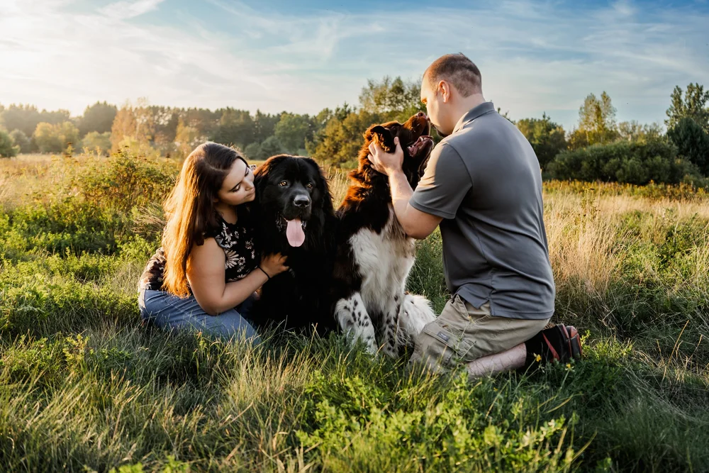 Dogs can be part of your couples session! — Photography by Brooke ...