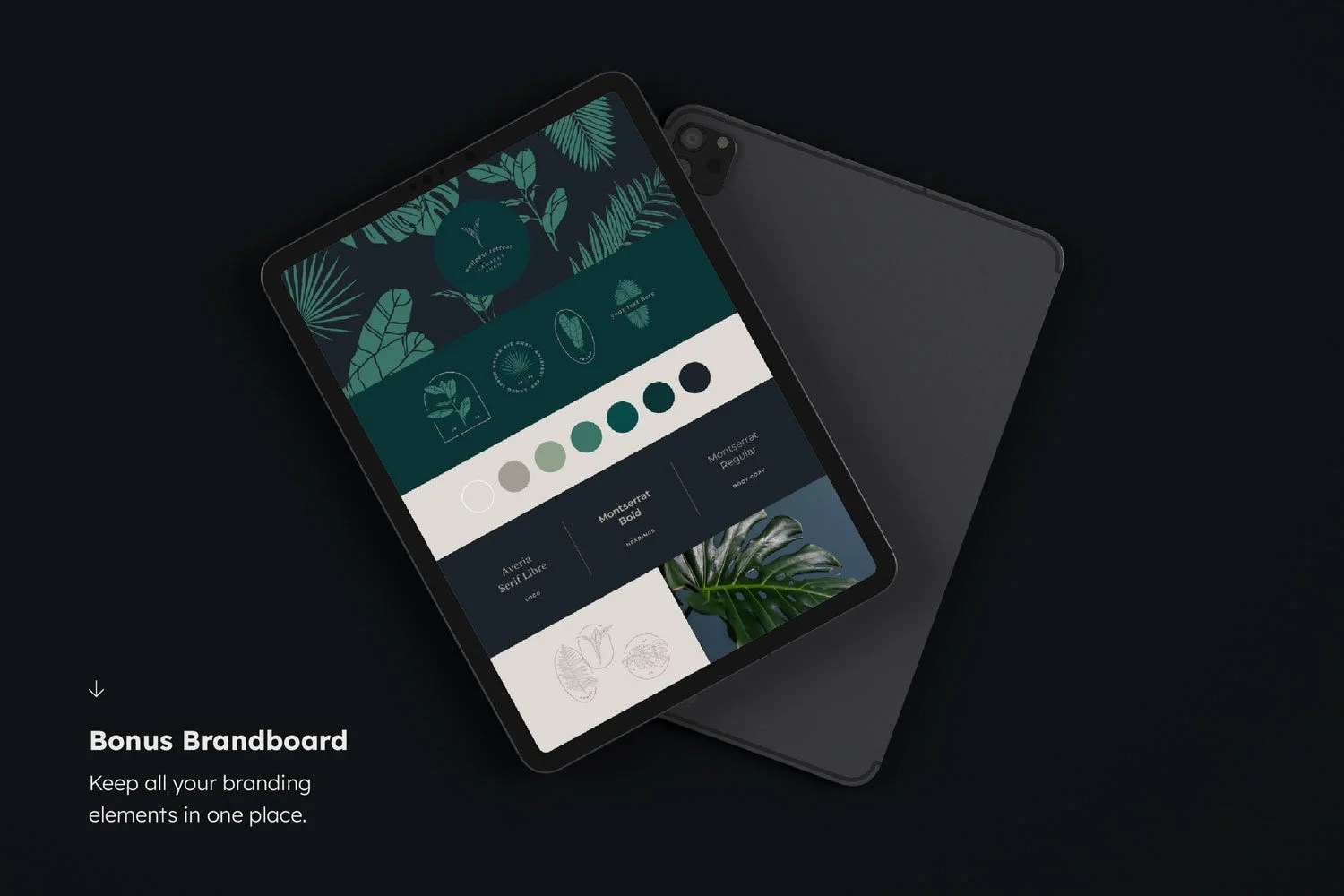 Free Brand Toolkit for Adobe Illustrator — HANNAH BACON