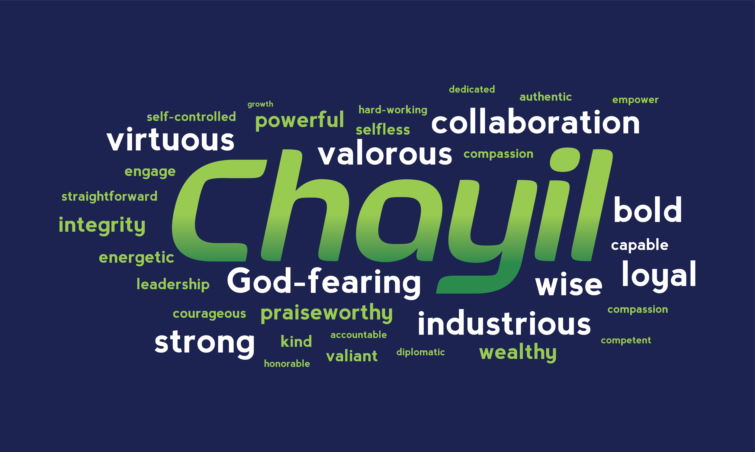 Chayil Consulting LLC