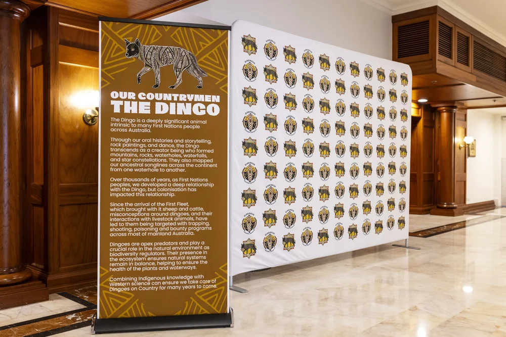 Historical forum results in First Nations Dingo Declaration — Defend ...