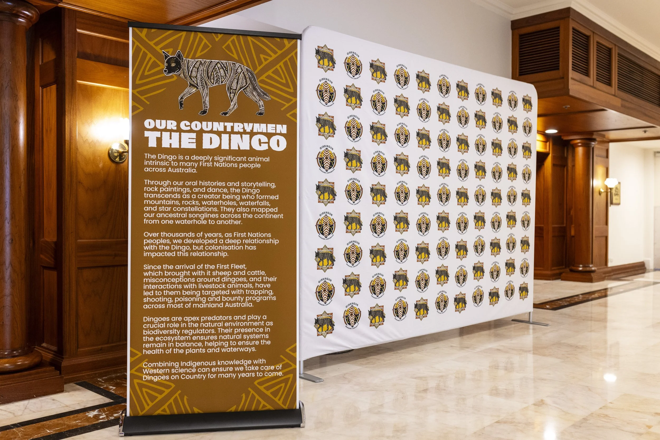 Historical forum results in First Nations Dingo Declaration — Defend ...