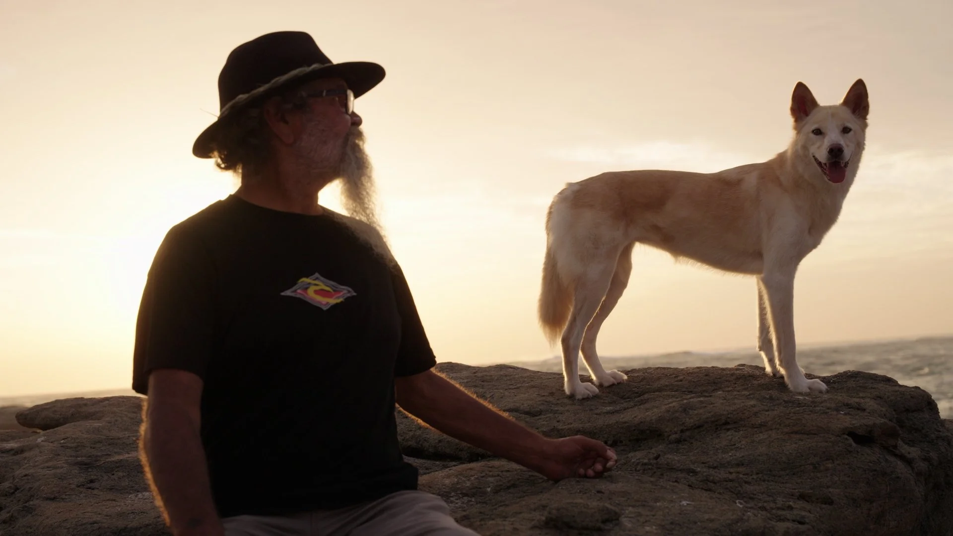 Dingo Culture — Defend The Wild