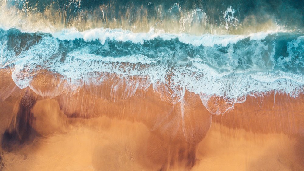 Ocean destruction — Defend The Wild