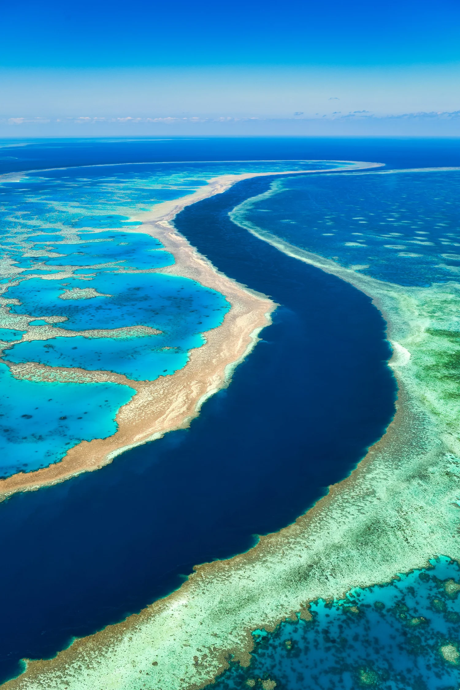 Ocean destruction — Defend The Wild