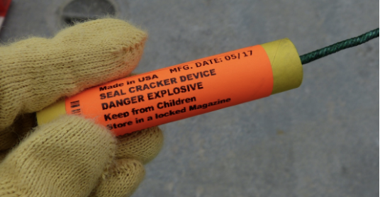 Seal killing — Defend The Wild