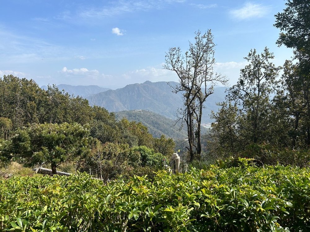 Ananda in the Himalayas Review — The Wellness Travel Expert