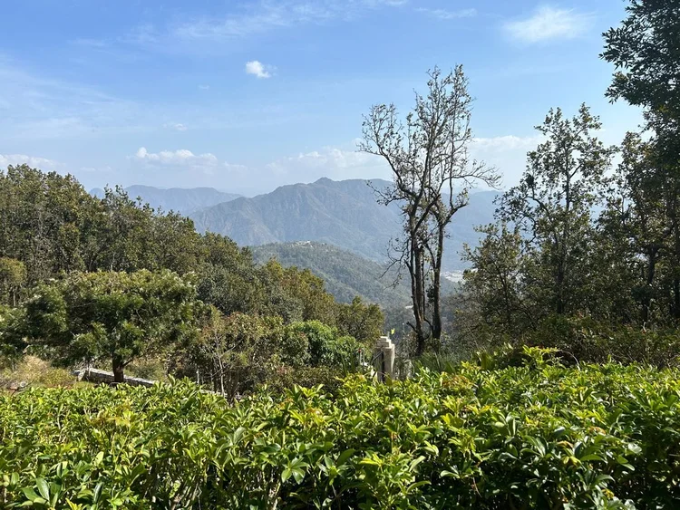 Ananda in the Himalayas Review — The Wellness Travel Expert