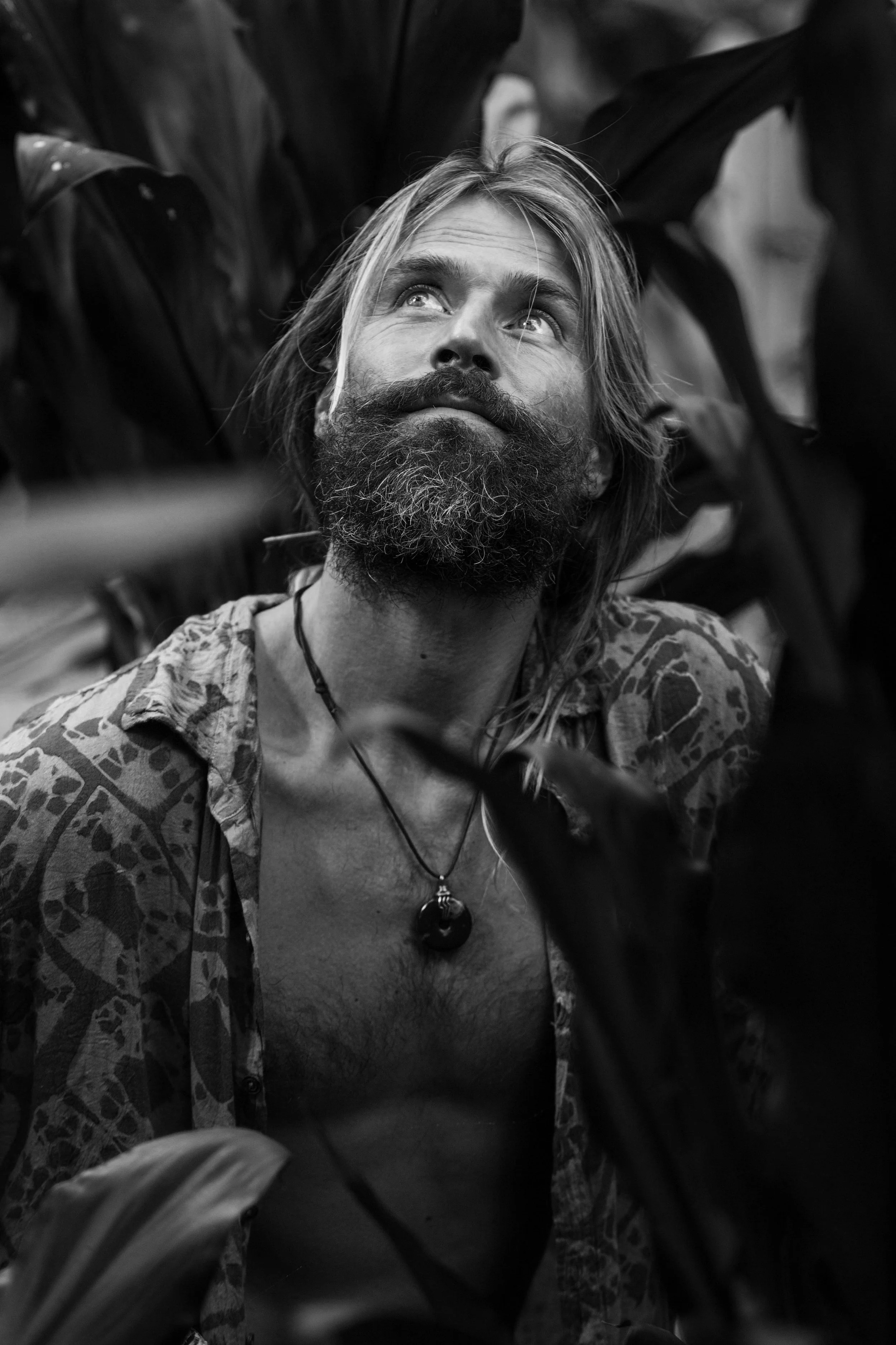 DANIEL HITCHCOCK SHERER