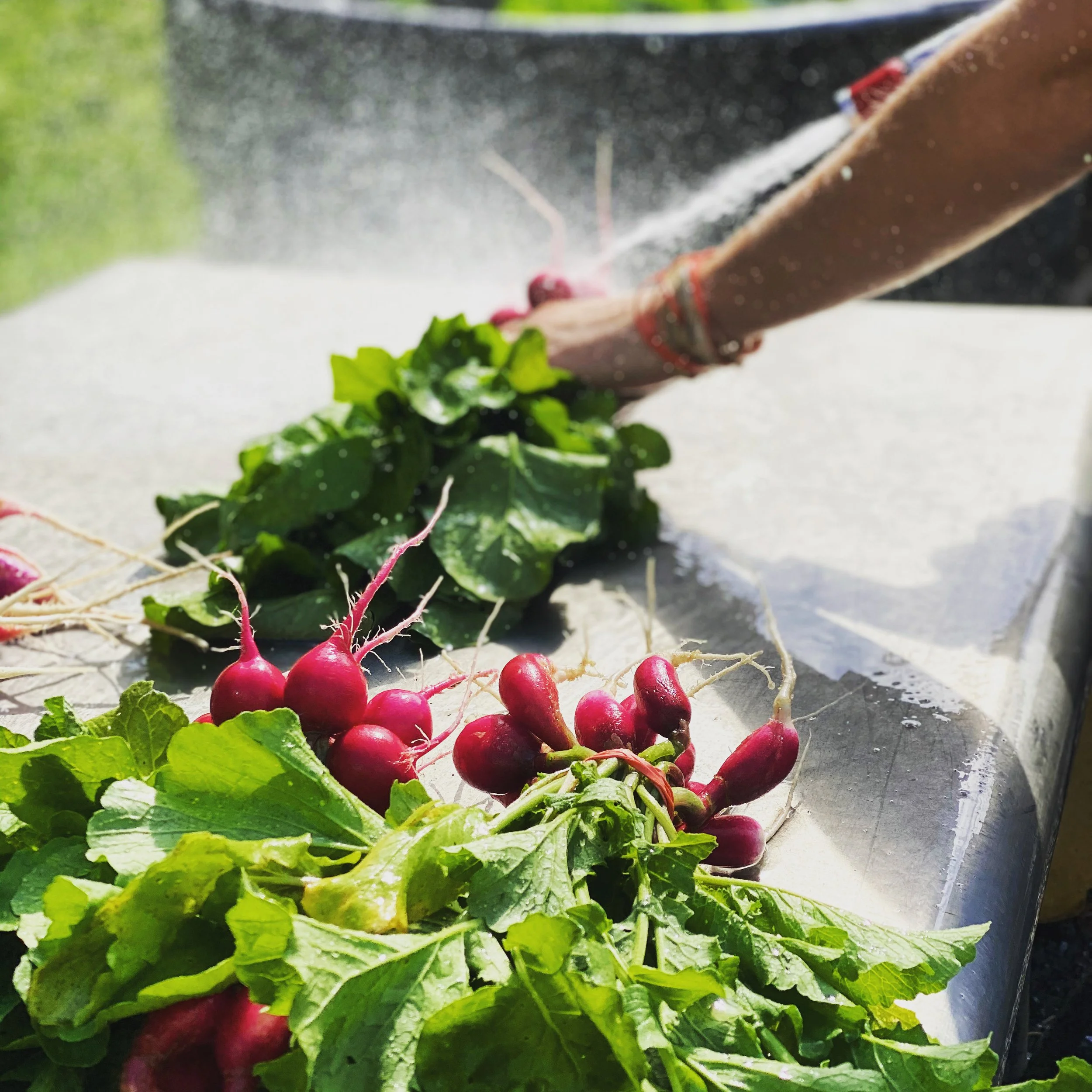 Work with us — River Ridge Farm and Market