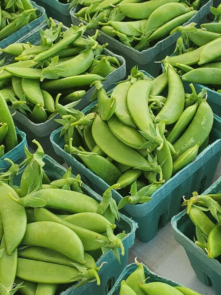 Who We Are | Discover Local Delights — Greater Springfield Farmers Market