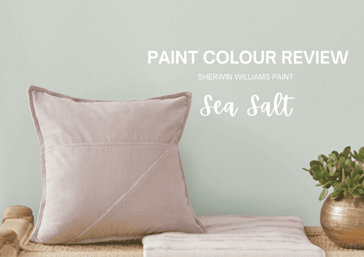 Paint Colour Review: Sea Salt SW 6204 by Sherwin Williams — Suite Minded
