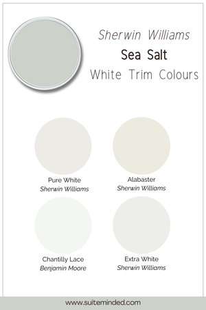 Paint Colour Review: Sea Salt SW 6204 by Sherwin Williams — Suite Minded