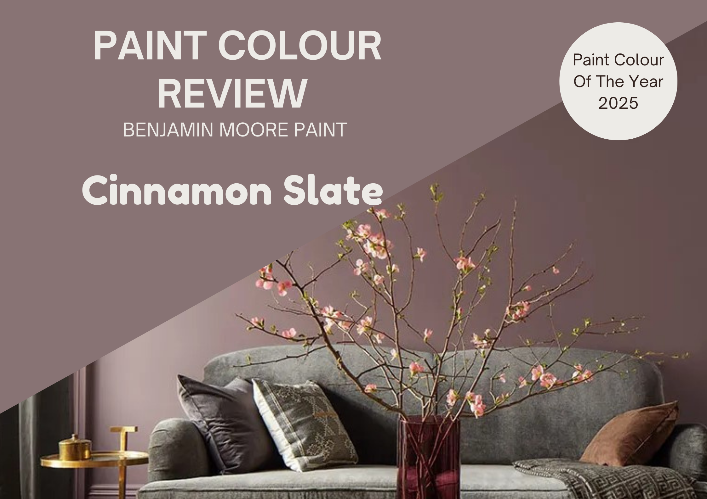 Benjamin Moore Colour Of The Year 2025: Cinnamon Slate 2113-40 Paint ...