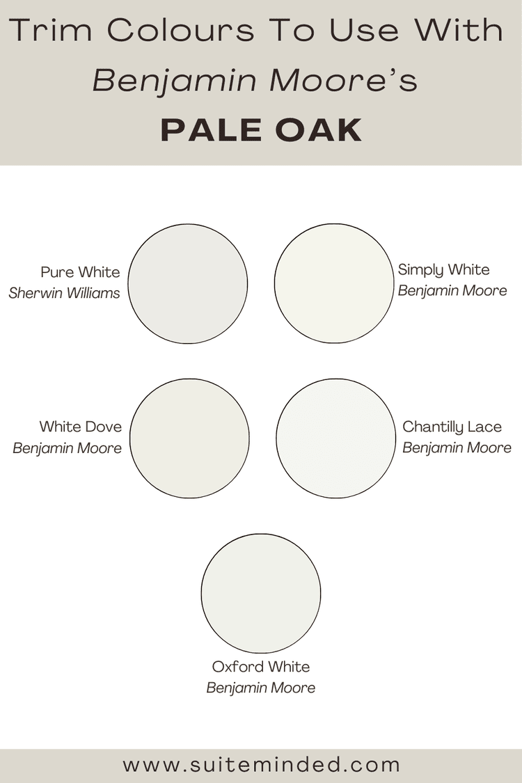 Paint Colour Review: Pale Oak By Benjamin Moore - A Favourite — Suite ...