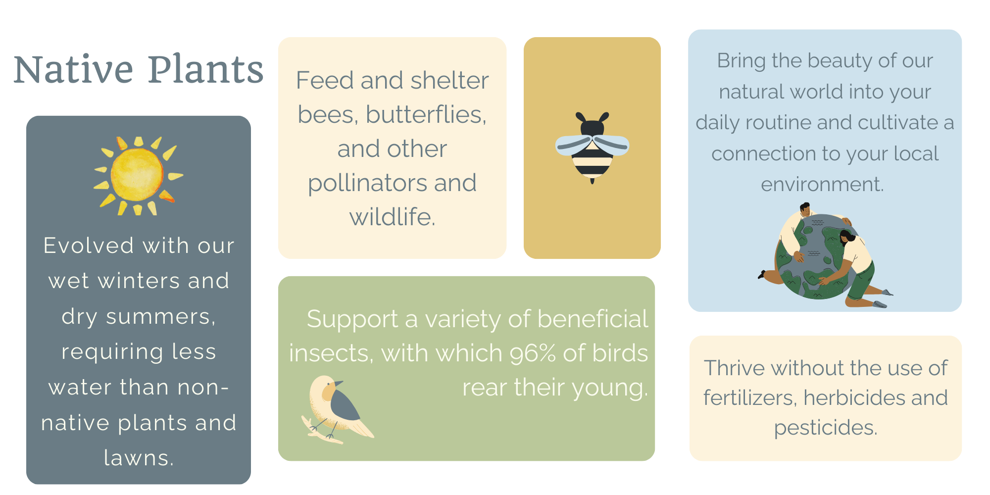 Native Plants — Lawn Be Gone