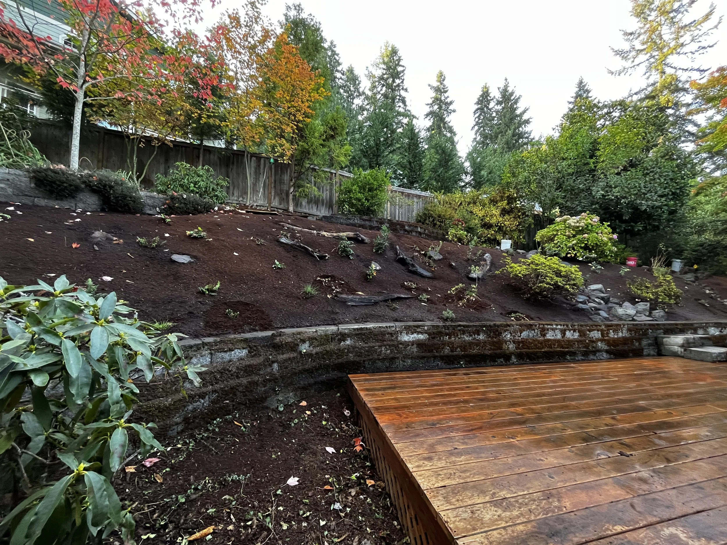 Lawn Be Gone Native Landscaping