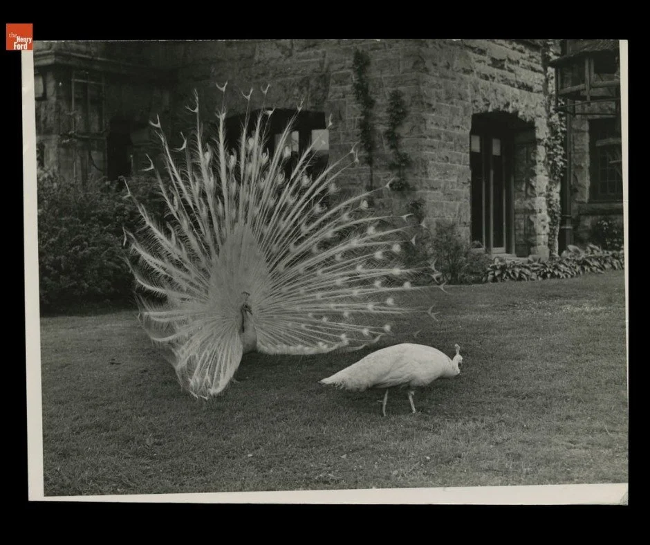 Visit Us — Fair Lane: Home of Clara and Henry Ford