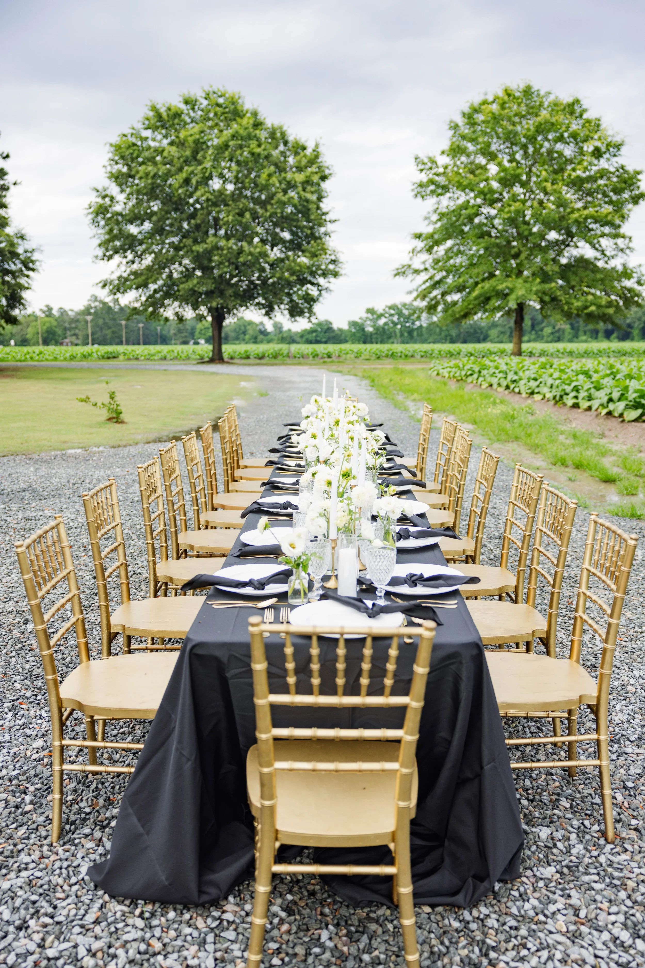 Lafayette Sasser Home — The Cornealius Properties