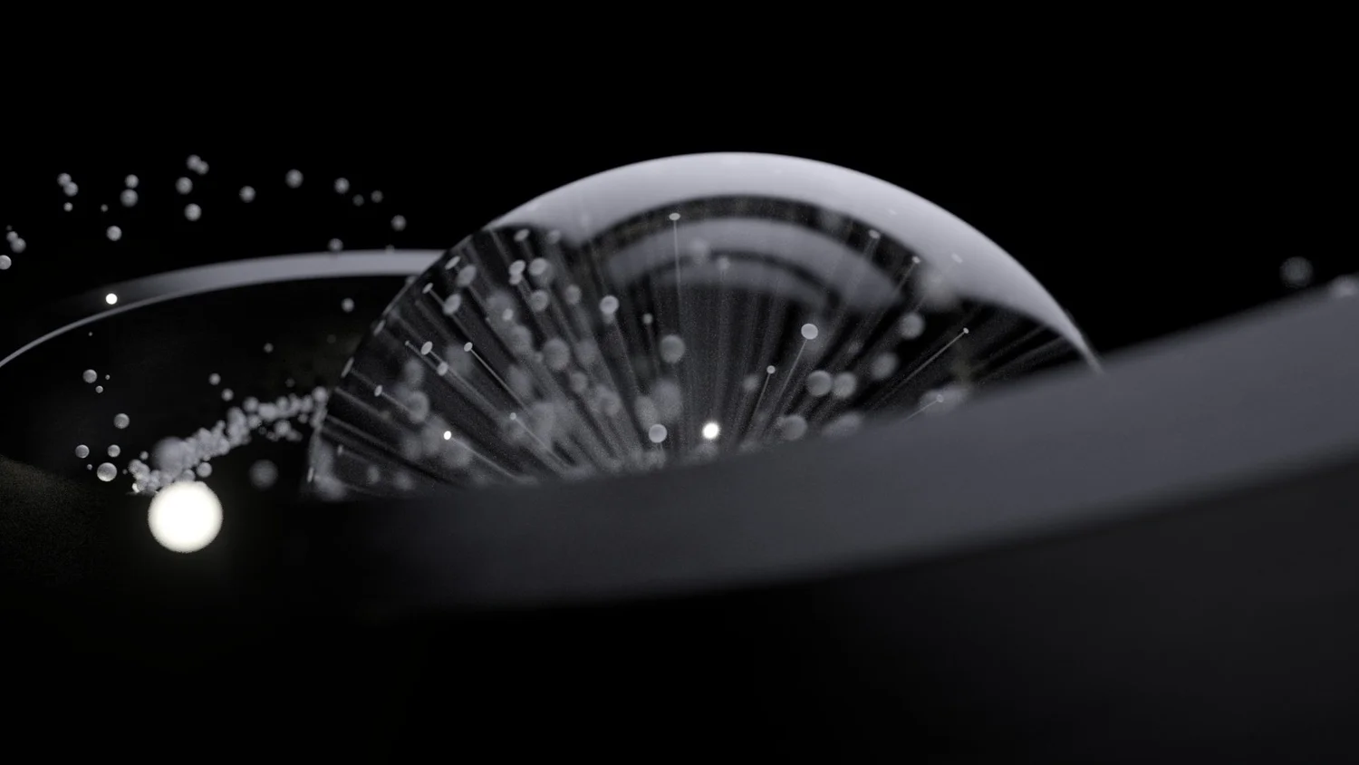 Capitolis / Motion Rebrand — itMatters