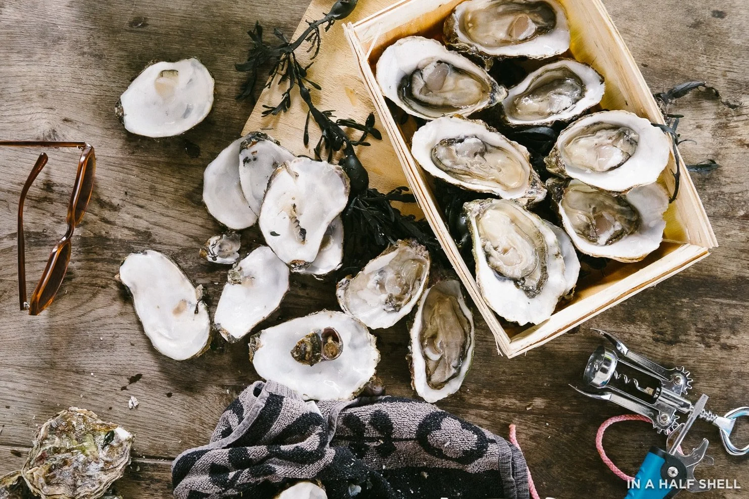 SHUCK BROTHERS // mobile oyster bar & catering