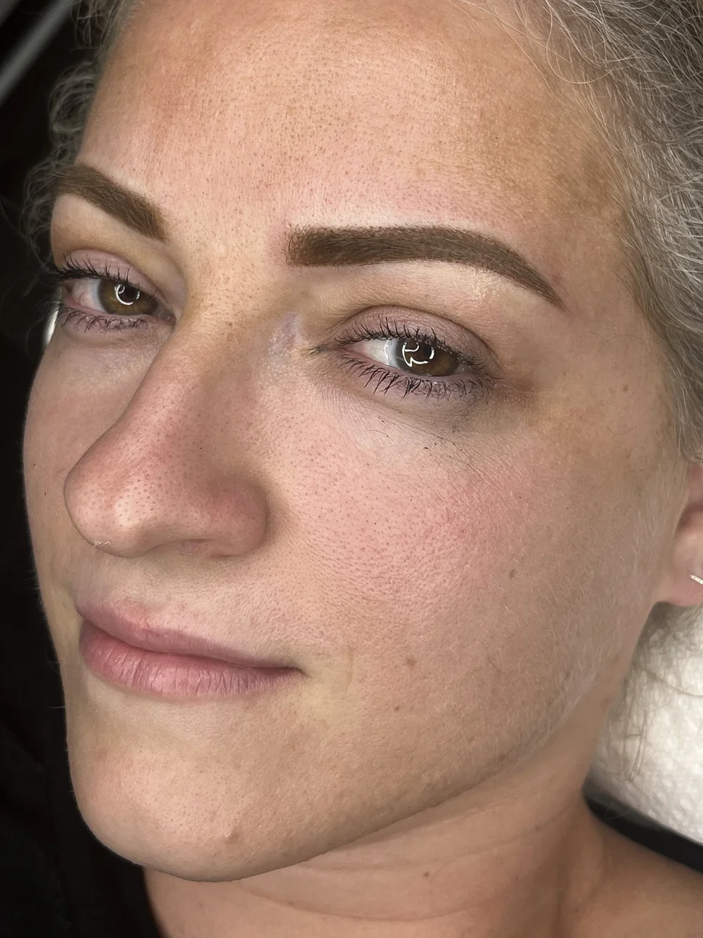 Powder/Ombre Brows — Wildflower Aesthetics FL