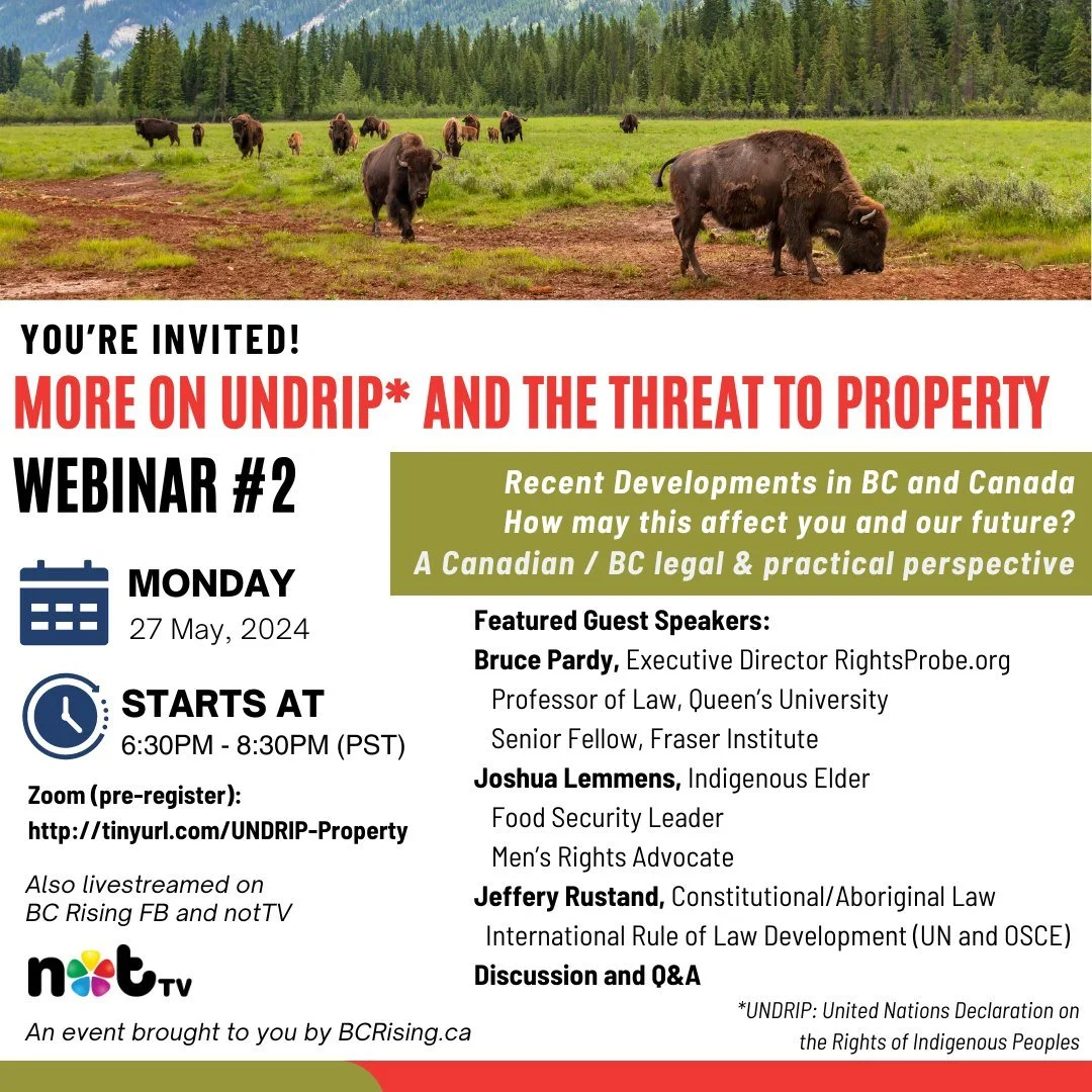 Watch & Listen — Rights Probe