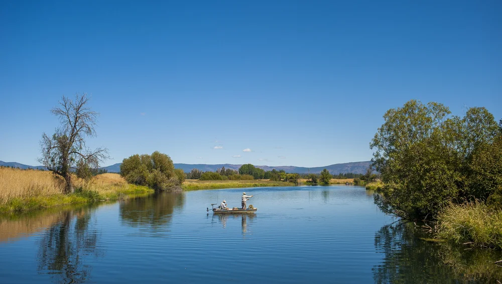 Fall River 2024 - Wing and Barrel — Travel Creel Hospitality