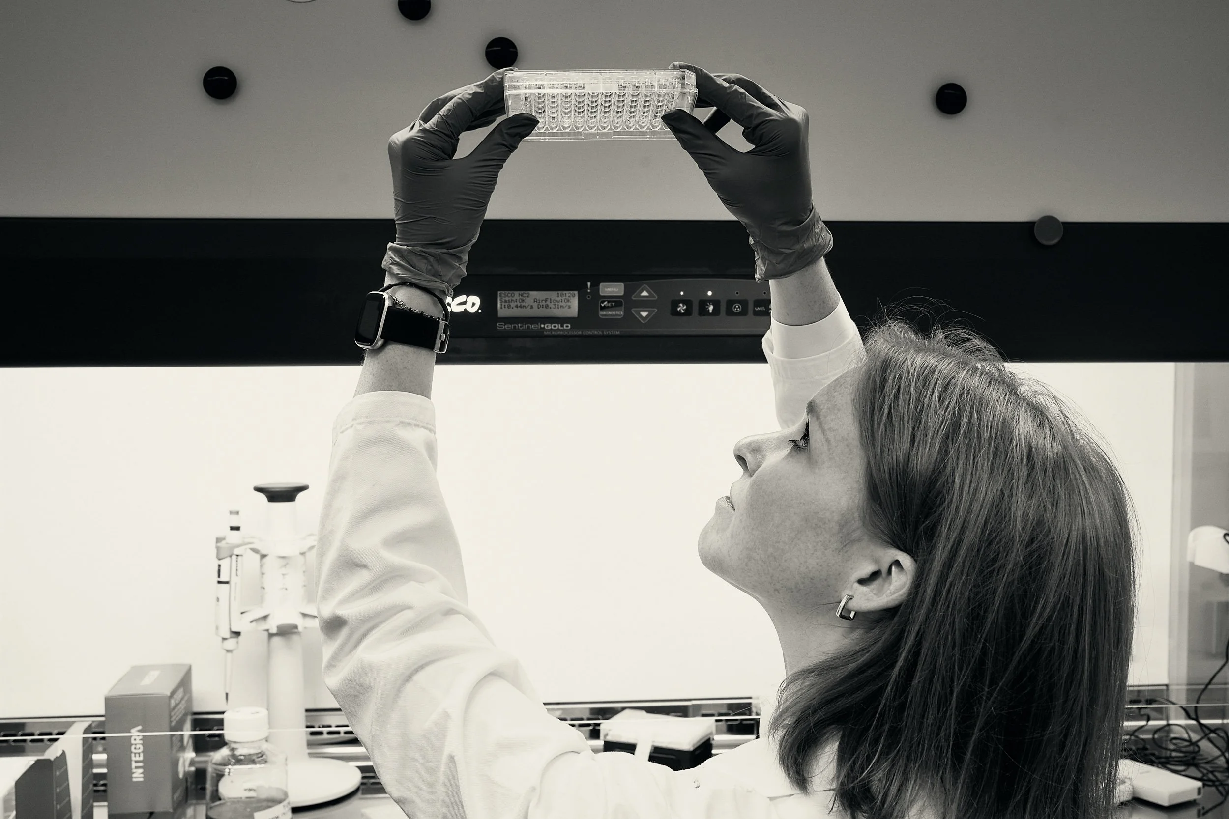 Science – cellerys