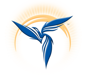 Human Systems Institute