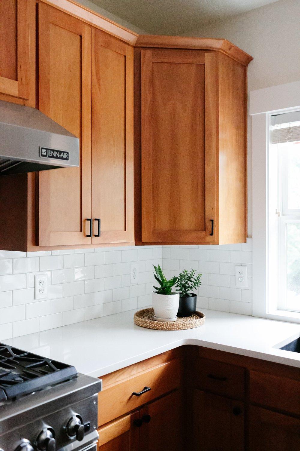 pards pad — A Curated Space