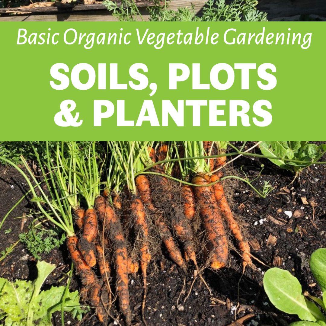 Classes, Events & Volunteer Opportunities — Civic Garden Center of ...