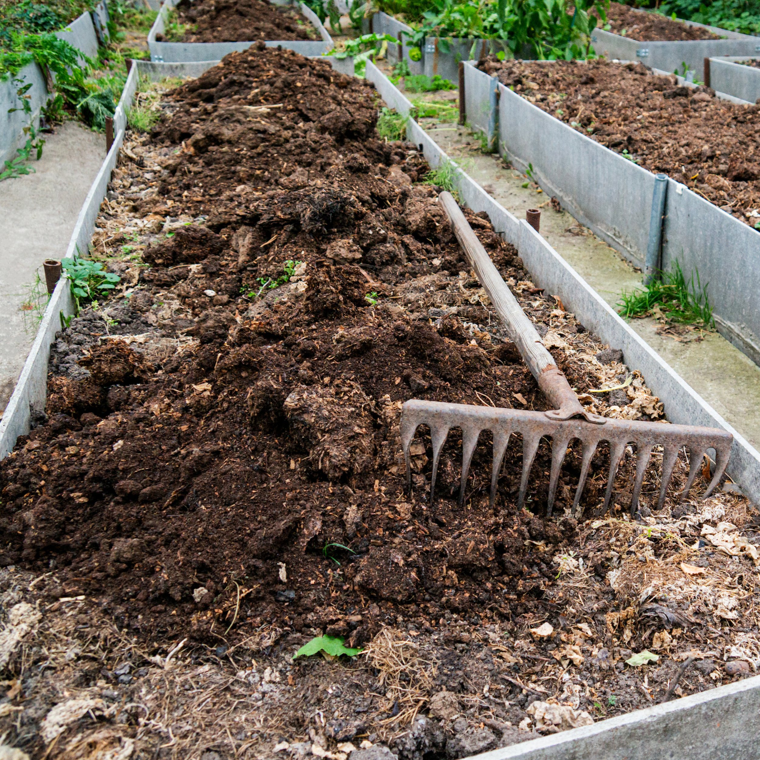 The Layers of Lasagna…Gardening — Civic Garden Center of Greater Cincinnati