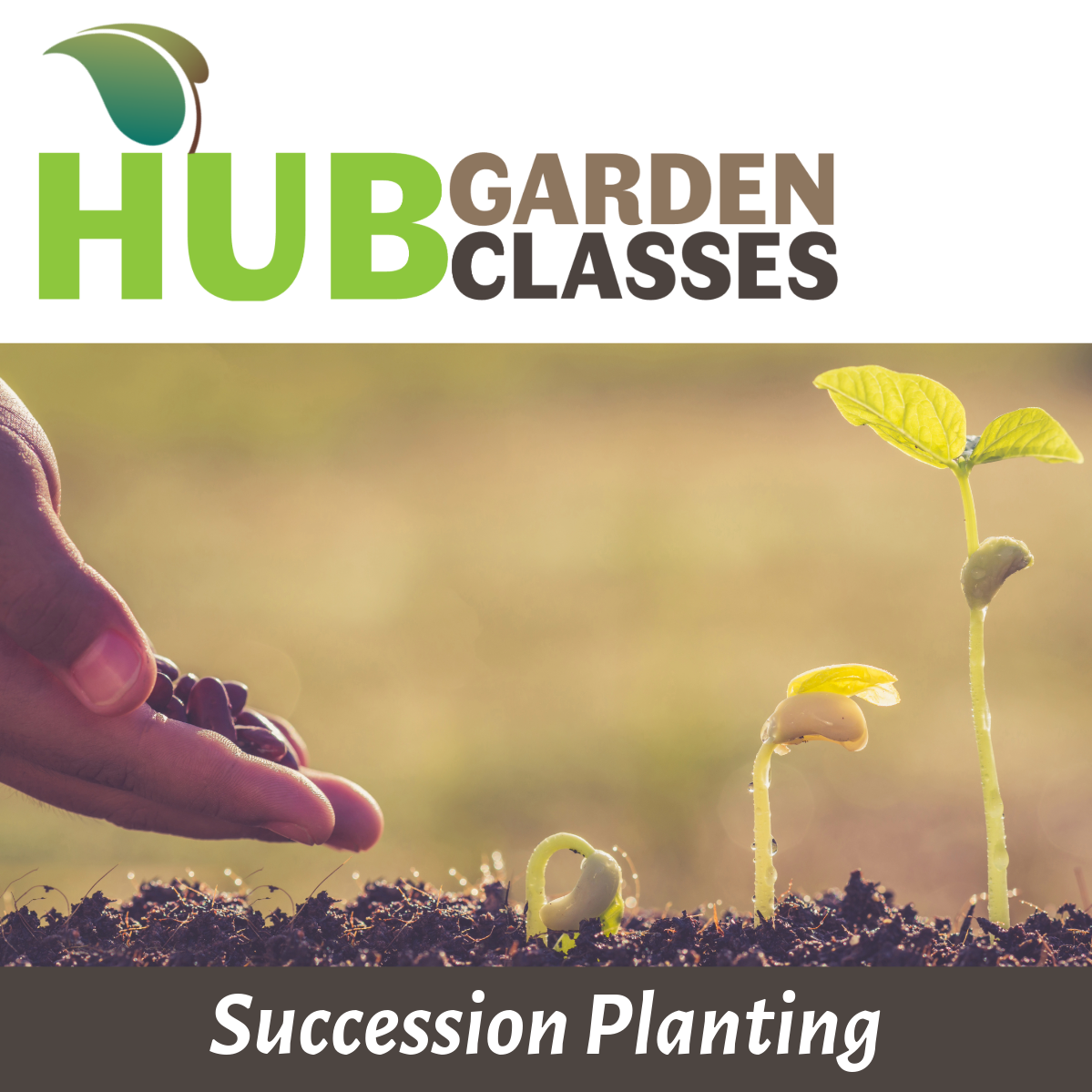 Spring 2023 Newsletter — Civic Garden Center of Greater Cincinnati